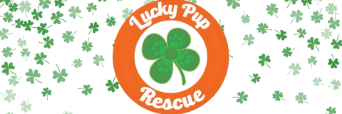 Lucky Pup Rescue 5k and 1 mile Fun Run