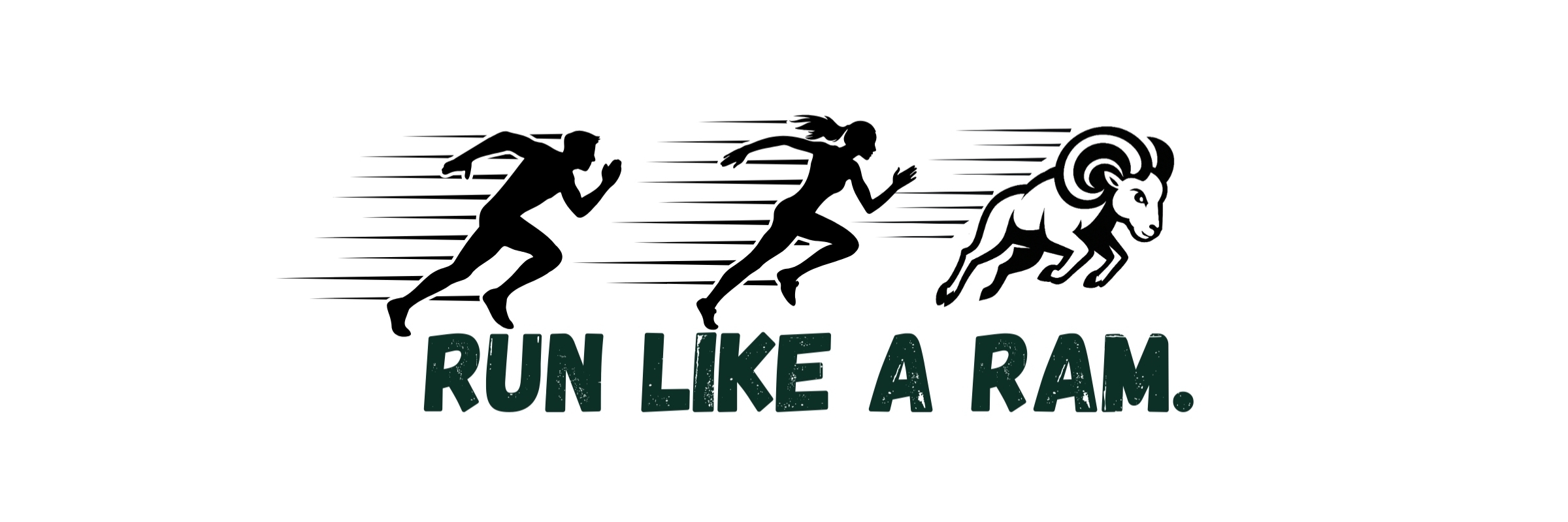 2025 Pine-Richland Ram Run