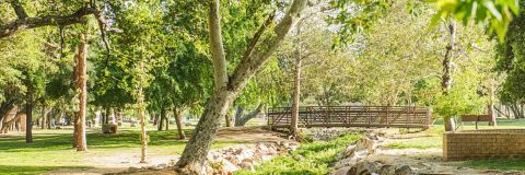 Kit Carson Park