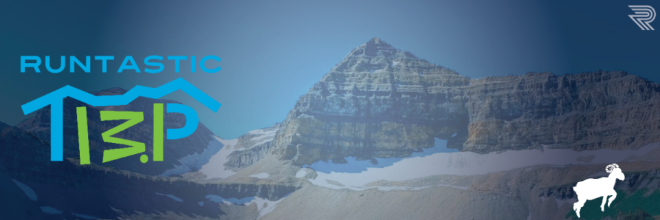 Runtastic TIMP