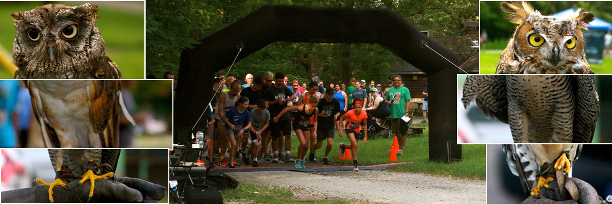 Run for Raptors- Hybrid Race