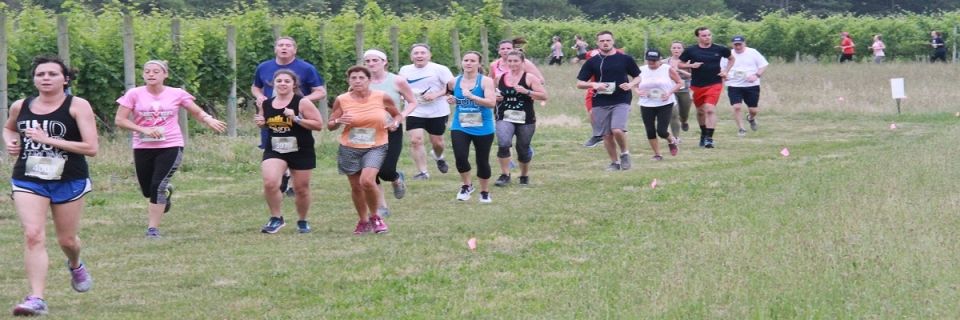 Run the Vineyards - Summer Scurry 5K