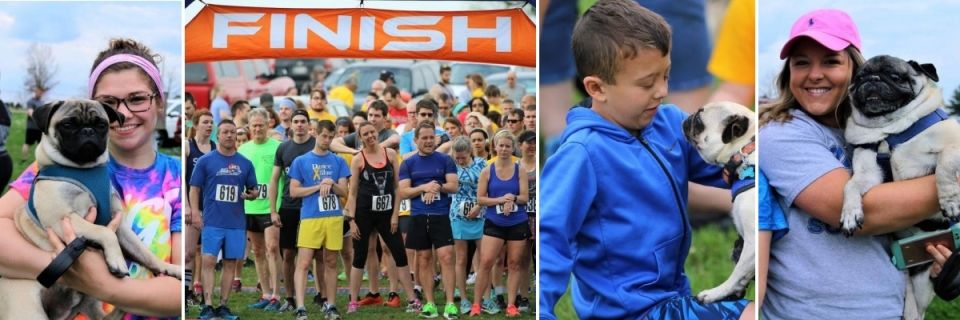 The Great Pug Run 5K VIRTUAL