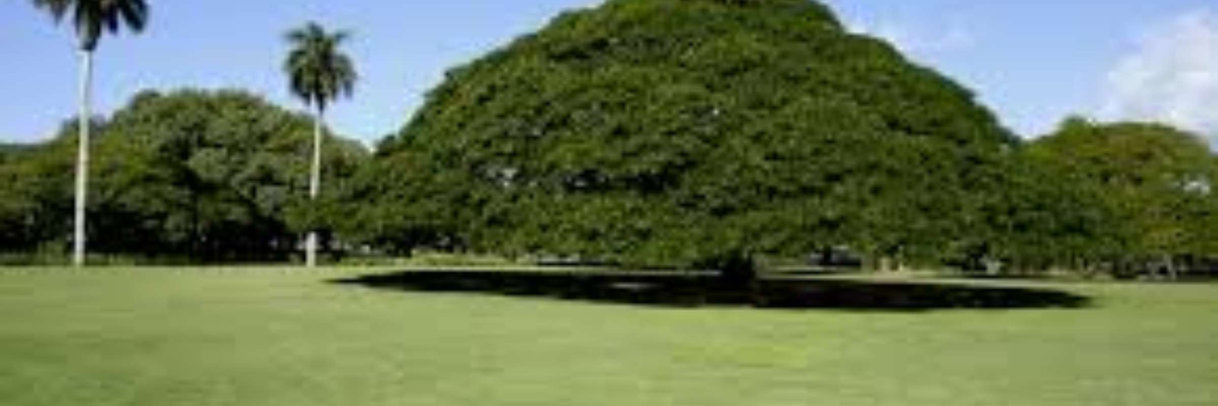 Mother's Day Beauchamp 10K, 5K, and Keiki Runs