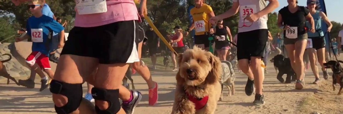 Olde Glory Days Patriotic 5K and Fun Run