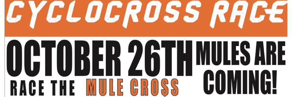 Mule Cross 2019