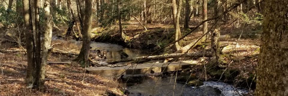 Goose Pond Scout Reservation 5K Trail Run/Walk