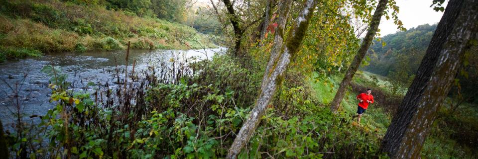 Iowa Trail Run Series: Yellow River State Forest