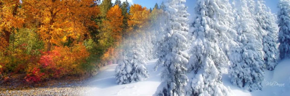 Fall Into Winter Challenge