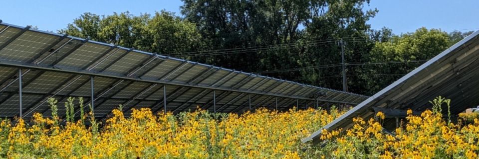 SolStock Storytelling Festival 2025