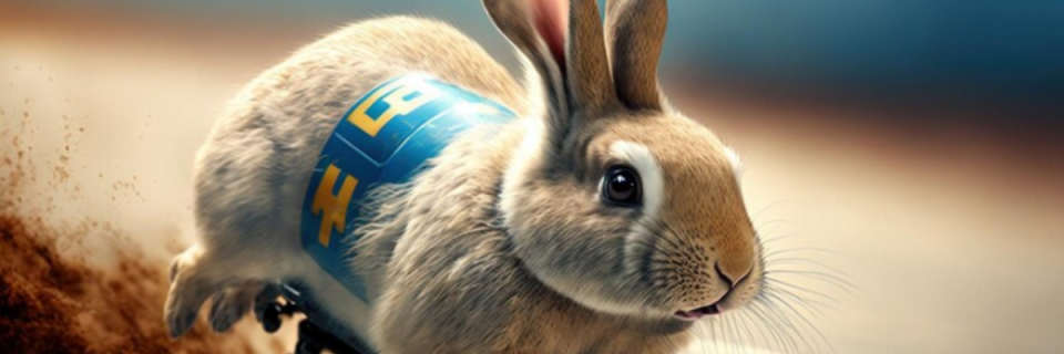 HOUSE RABBIT NETWORK 5000