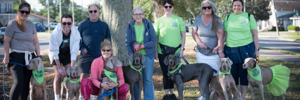 Walk for Weims 2026