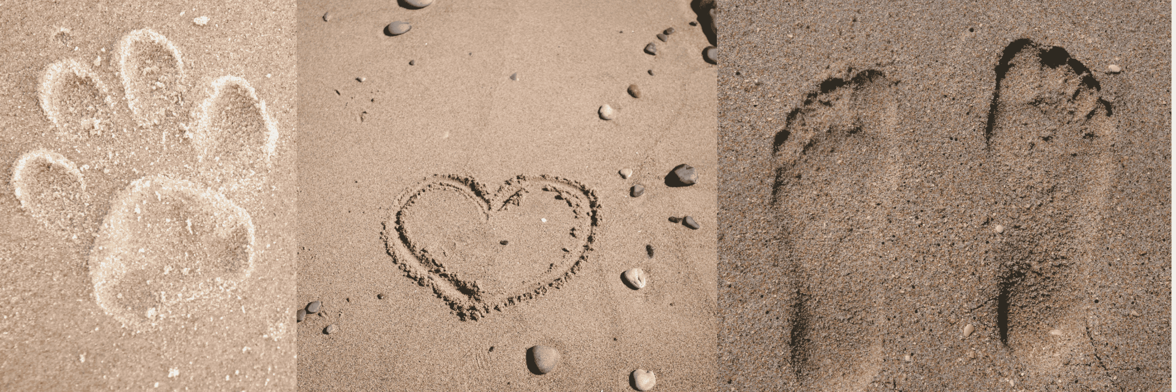 Miles of Meaning: The Desert Path Virtual Challenge