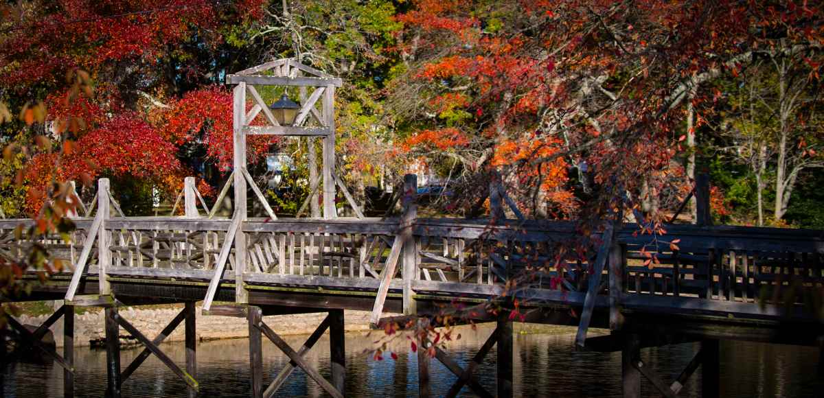 The Spring Lake Five Mile Run | Photos
